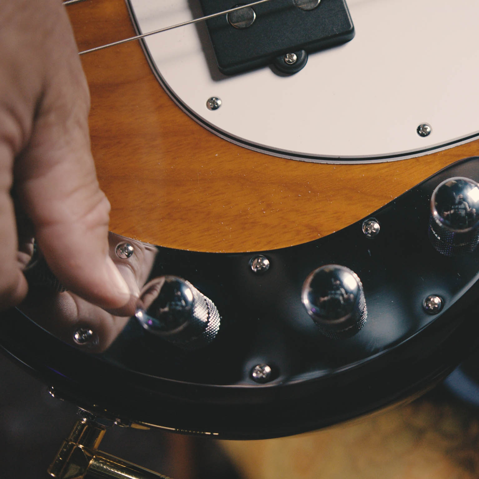 StingRay Special | Basses | Ernie Ball Music Man